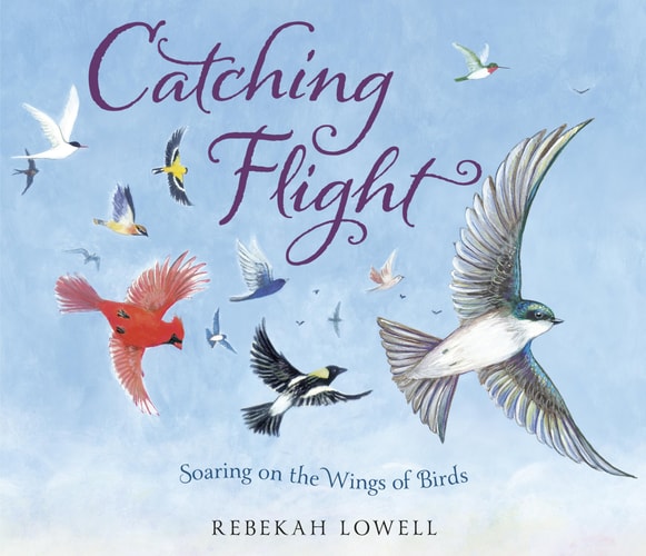 Catching Flight: Soaring on the Wings of Birds – BOOK/SHOP, etc.